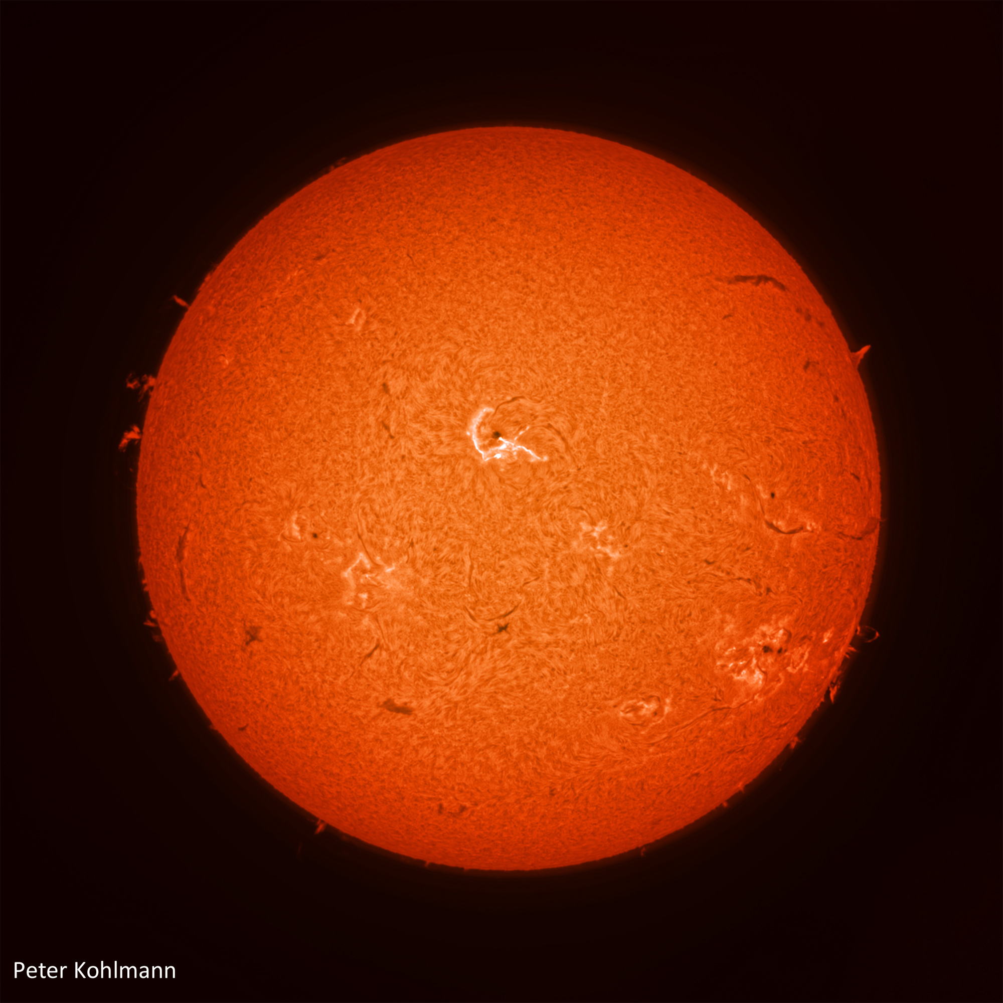 Acuter Elite Phoenix 40 Solar Telescope - Optical Vision Ltd